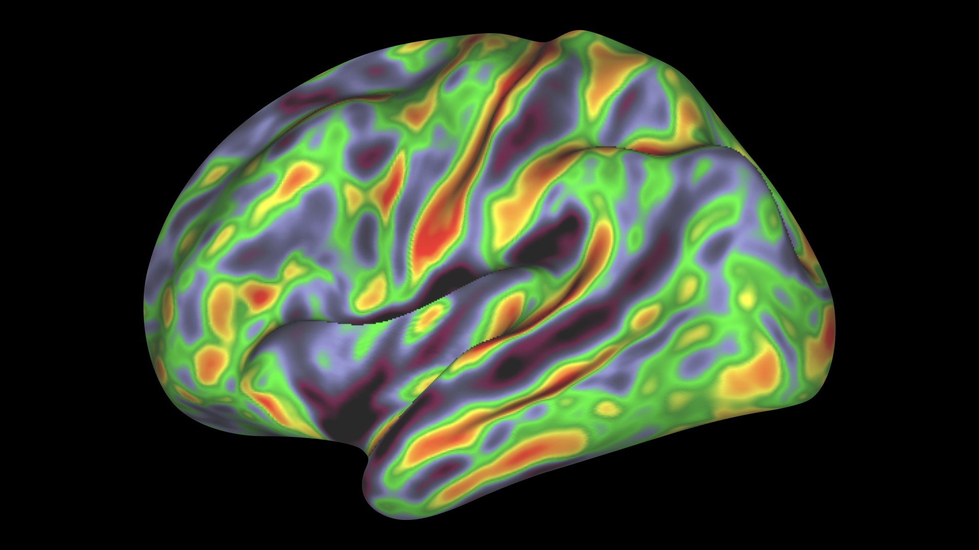 Decoding language development | eLife Science Digests | eLife Decoding language development | eLife Science Digests | eLife