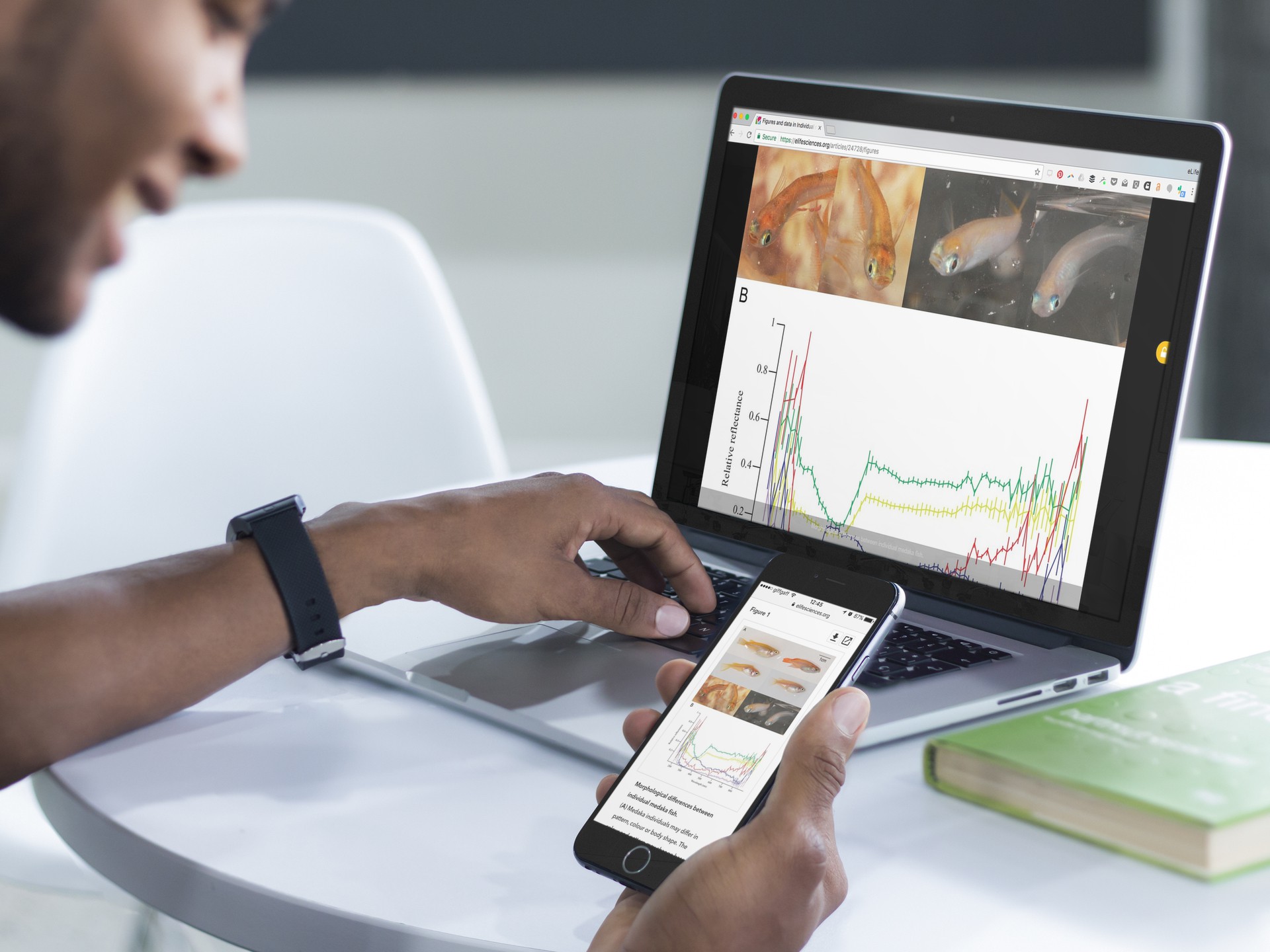 Dynamically Serving Scientific Images Using IIIF Labs ELife