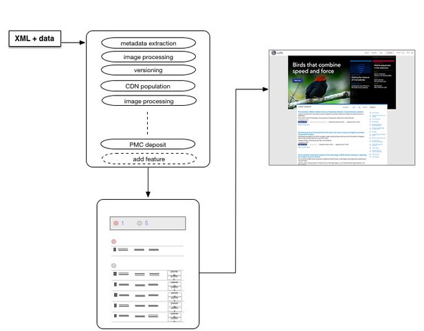 eLife introduces Continuum, a new open-source tool for publishing ... eLife introduces Continuum, a new open-source tool for publishing ...