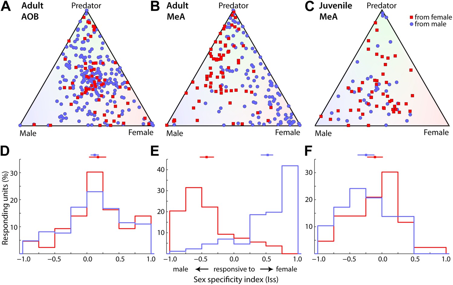 Sex Specific Processing Of Social Cues In The Medial Amygdala Elife