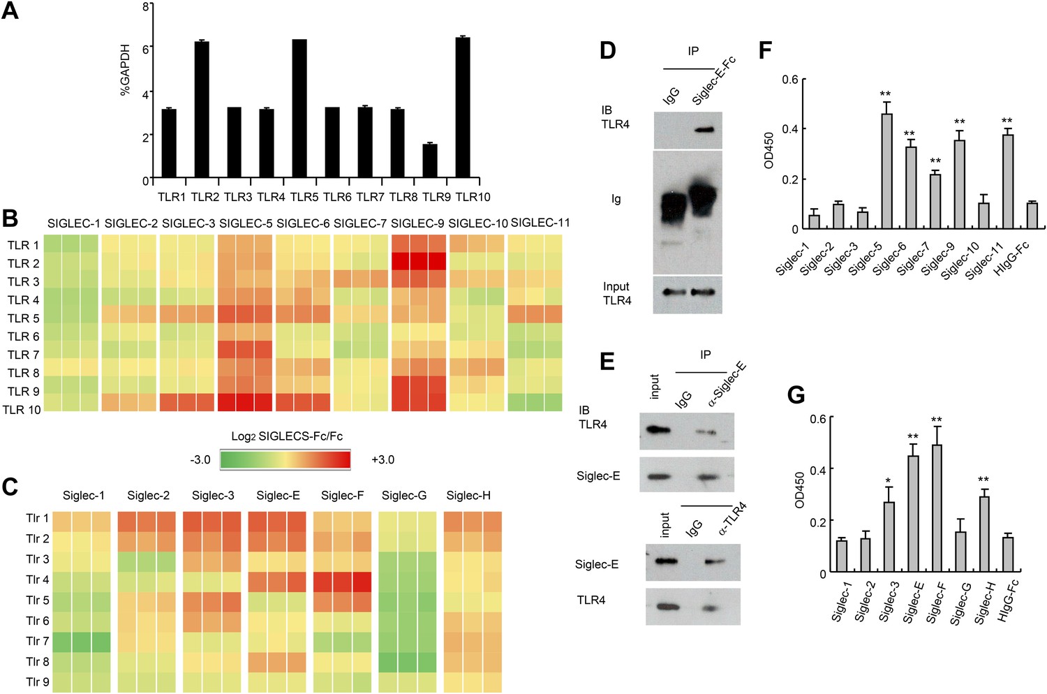 Figures And Data In Broad And Direct Interaction Between Tlr And Siglec