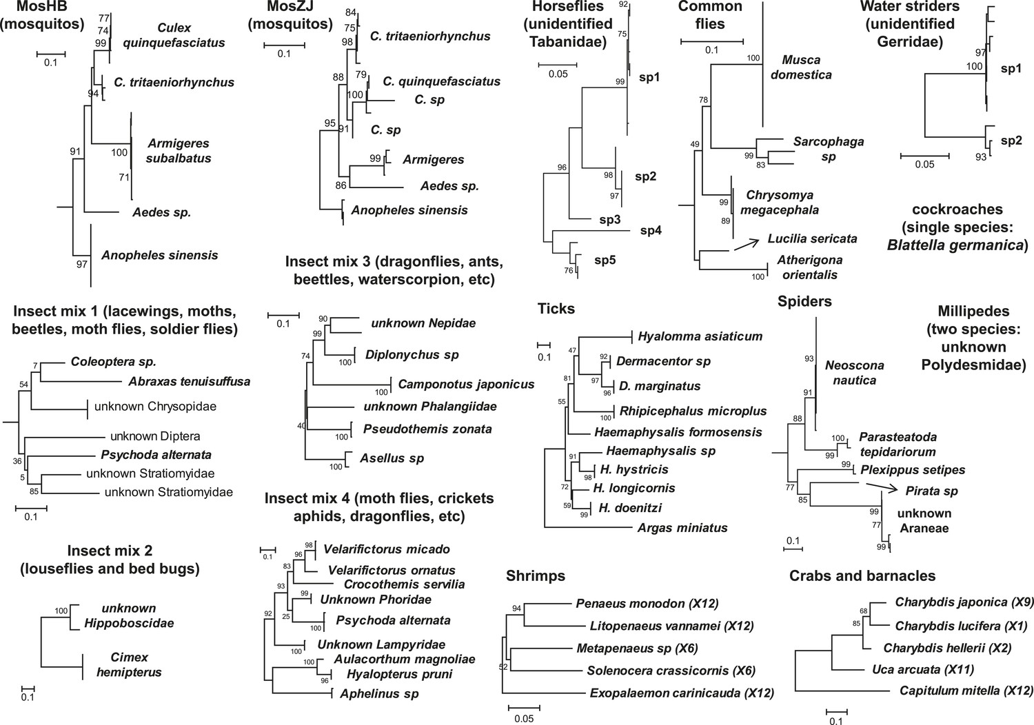 Figures And Data In Unprecedented Genomic Diversity Of Rna Viruses In