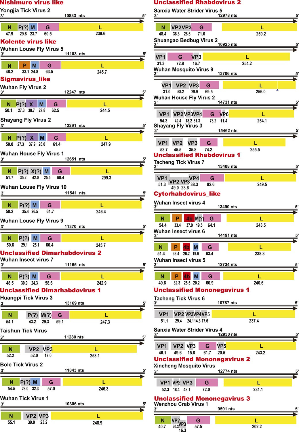 Figures And Data In Unprecedented Genomic Diversity Of Rna Viruses In