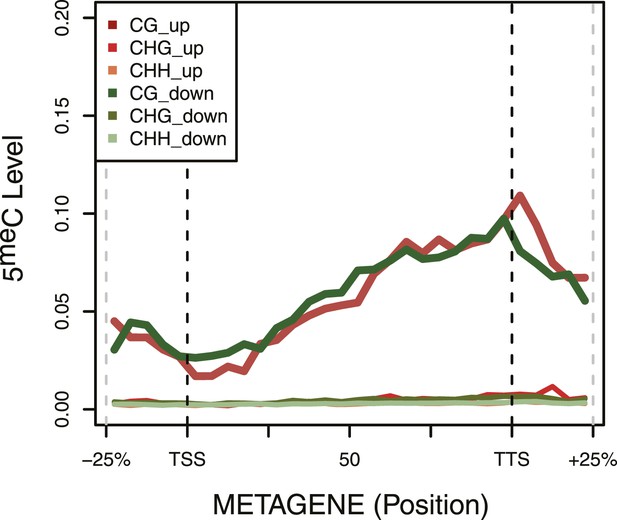 Figures And Data In In Vivo Targeting Of De Novo Dna Methylation By