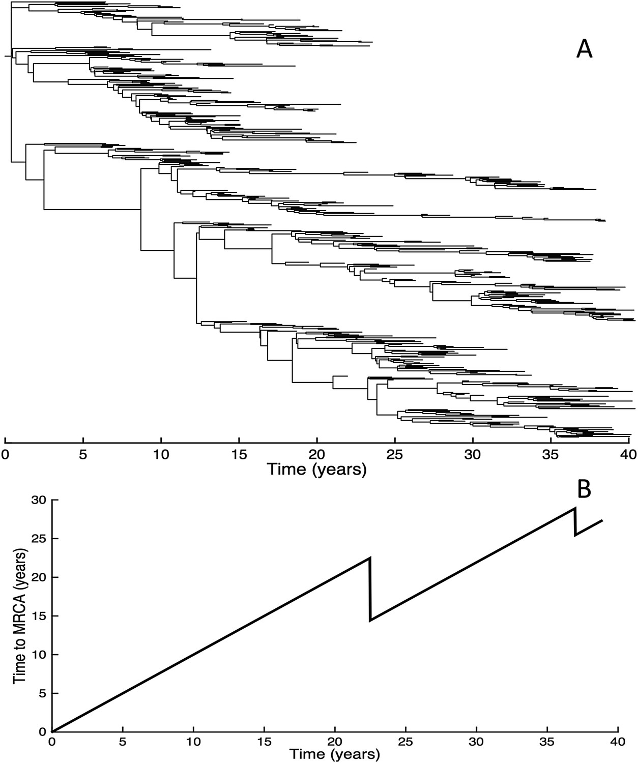 Figures And Data In The Effects Of A Deleterious Mutation Load On