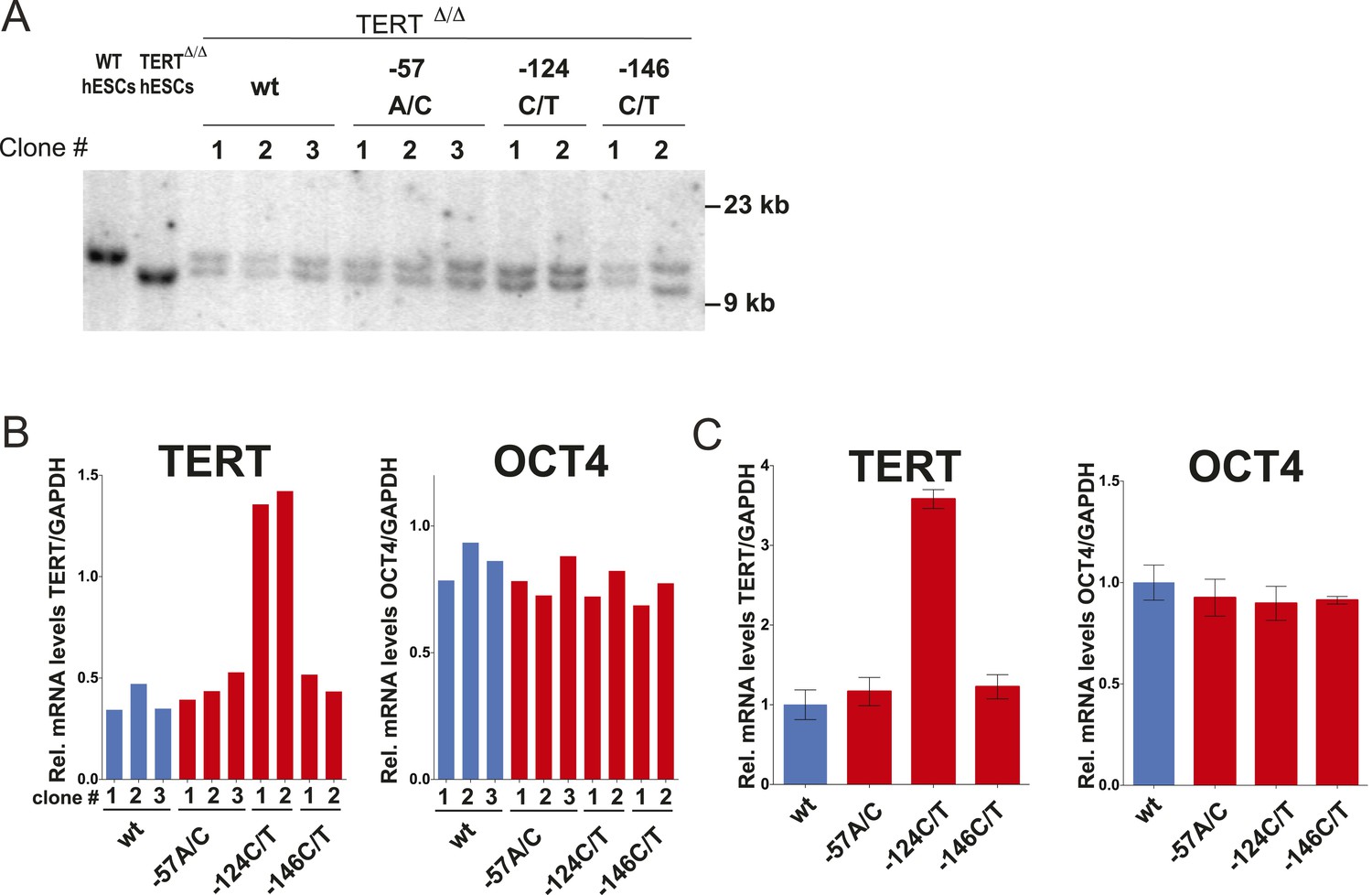 Figures And Data In Cancer Associated Tert Promoter Mutations Abrogate