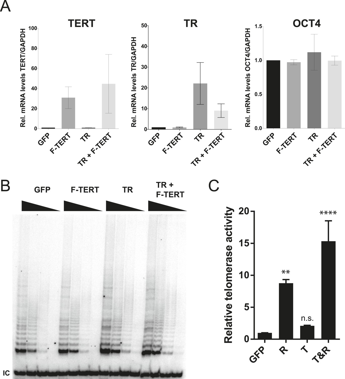 Figures And Data In Cancer Associated Tert Promoter Mutations Abrogate