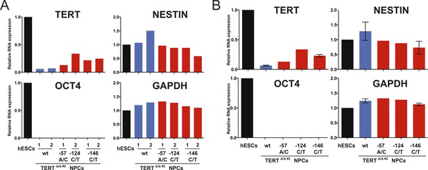 Figures And Data In Cancer Associated Tert Promoter Mutations Abrogate