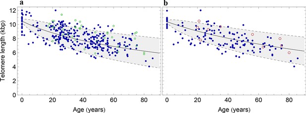 Reconstructing The In Vivo Dynamics Of Hematopoietic Stem Cells From
