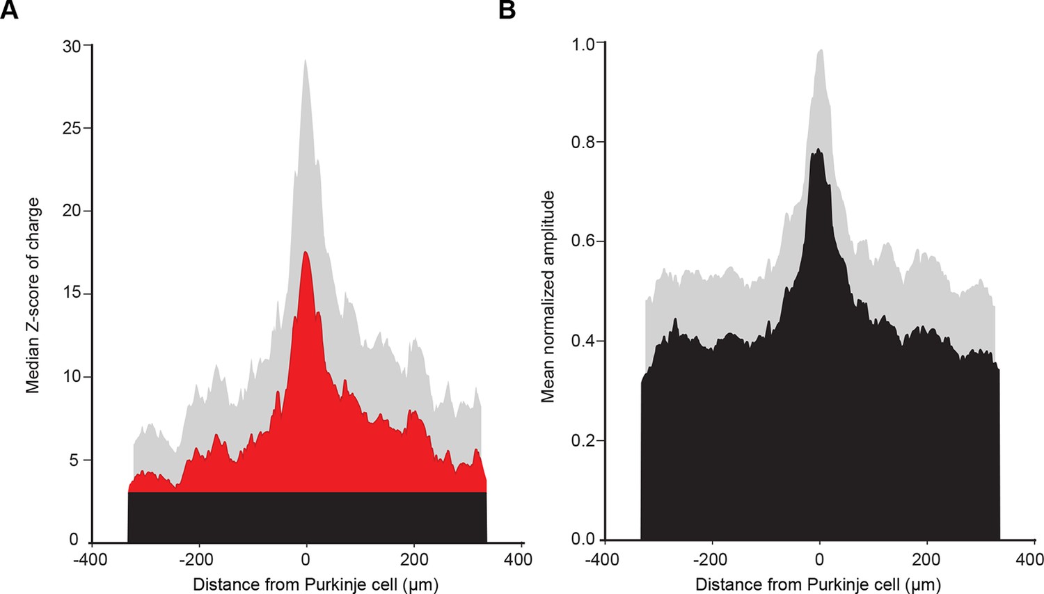 Figures And Data In Stereotyped Spatial Patterns Of Functional Synaptic