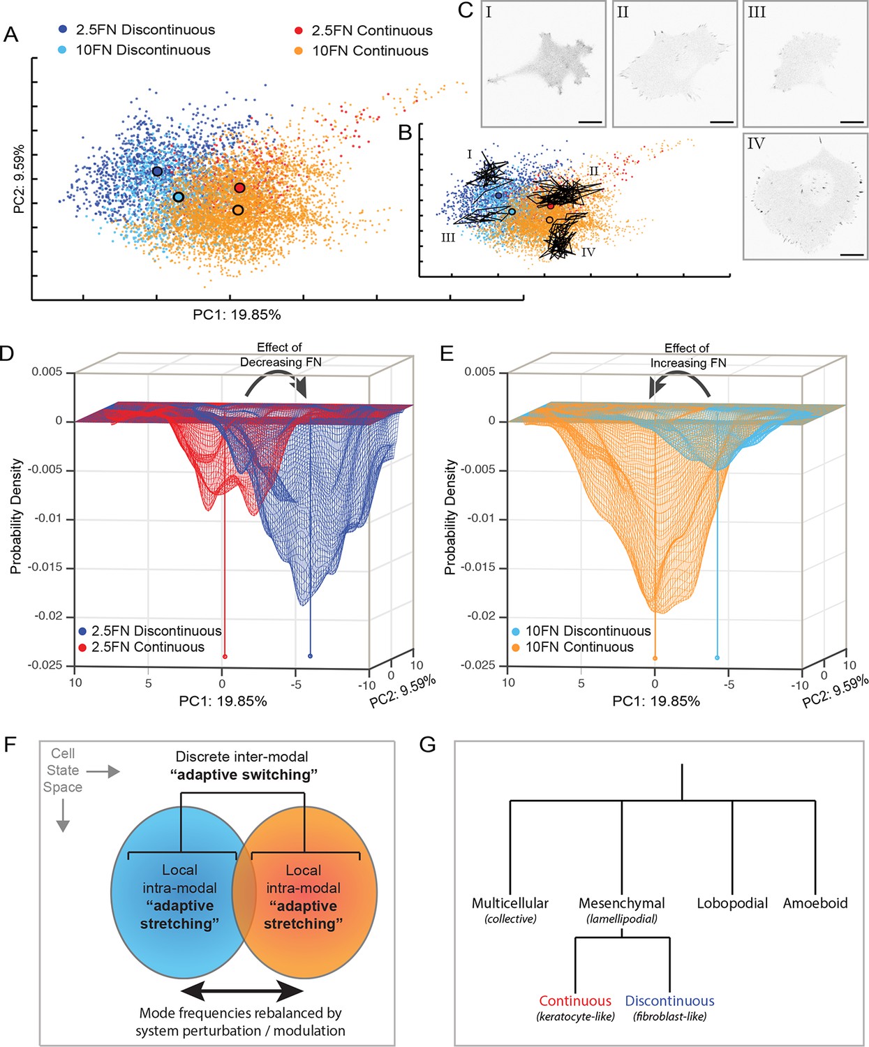 An Analysis Toolbox To Explore Mesenchymal Migration Heterogeneity
