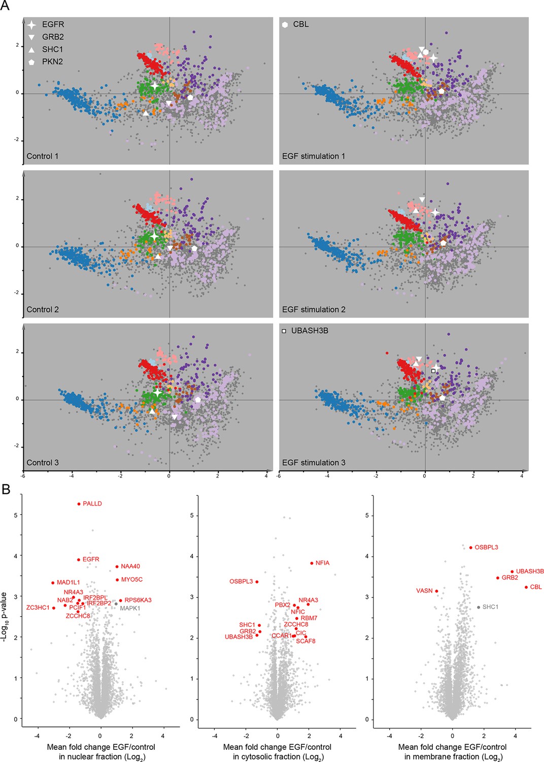Figures And Data In Global Quantitative And Dynamic Mapping Of Protein