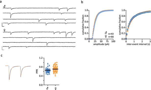Figures And Data In Sexually Dimorphic Neuronal Responses To Social