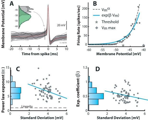 Figures And Data In Lognormal Firing Rate Distribution Reveals