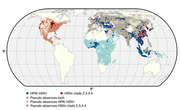 Global Mapping Of Highly Pathogenic Avian Influenza H5n1 And H5nx Clade