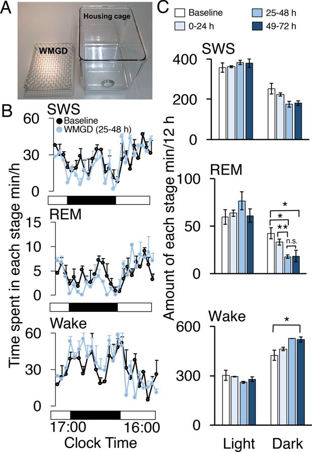 Figures and data in Chemogenetic inhibition of the medial prefrontal ...