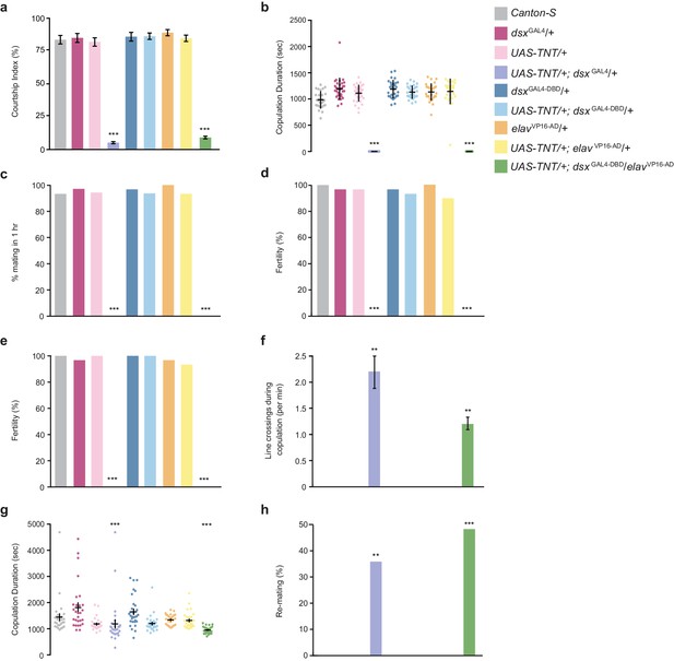 Figures And Data In Neural Circuitry Coordinating Male Copulation Elife