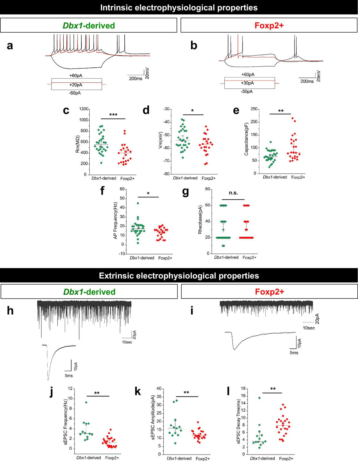 Embryonic Transcription Factor Expression In Mice Predicts Medial