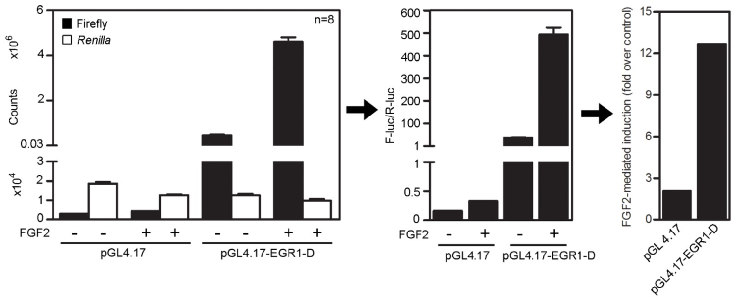 Figures And Data In One Reporter For In Cell Activity Profiling Of
