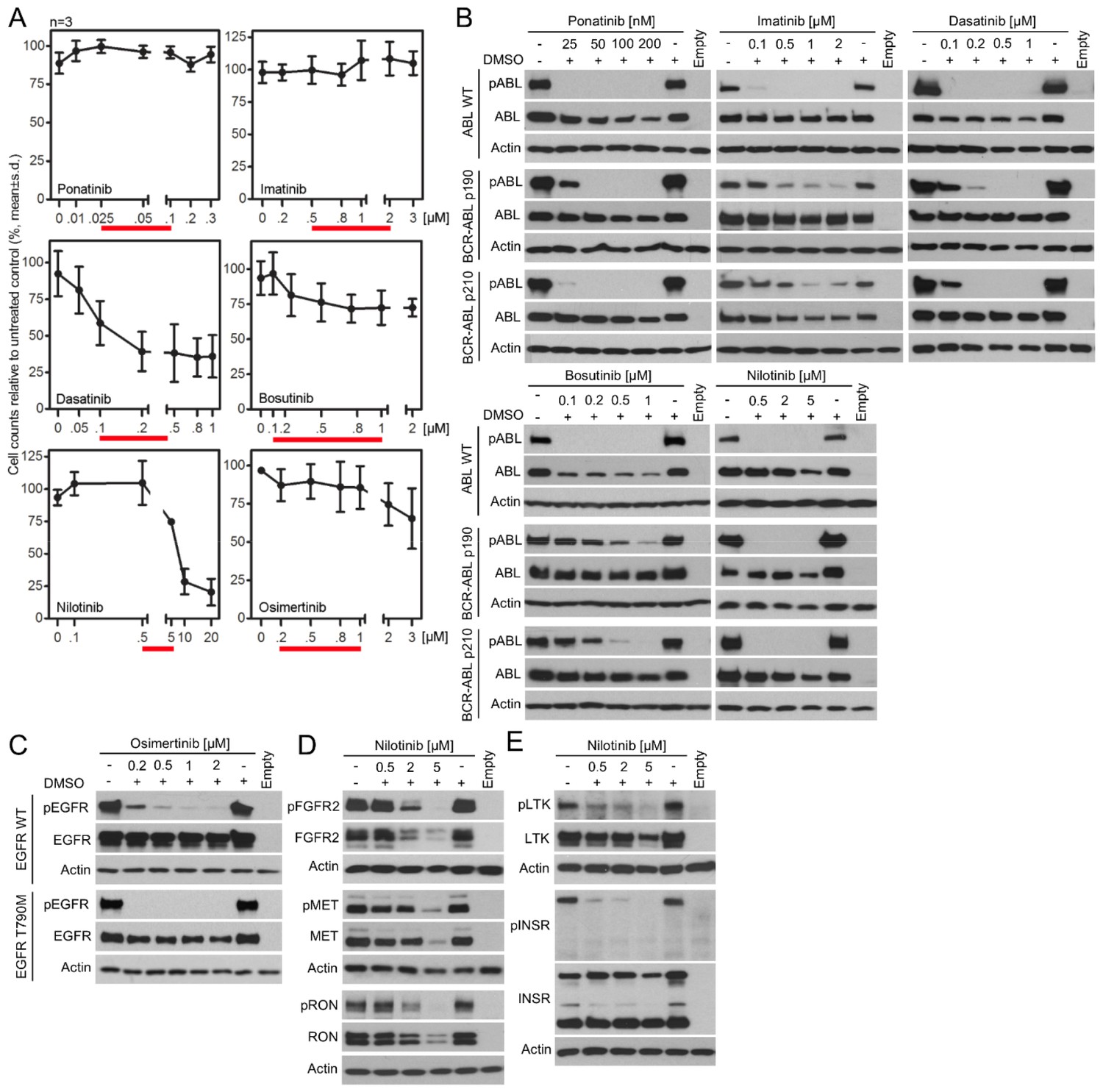Figures And Data In One Reporter For In Cell Activity Profiling Of