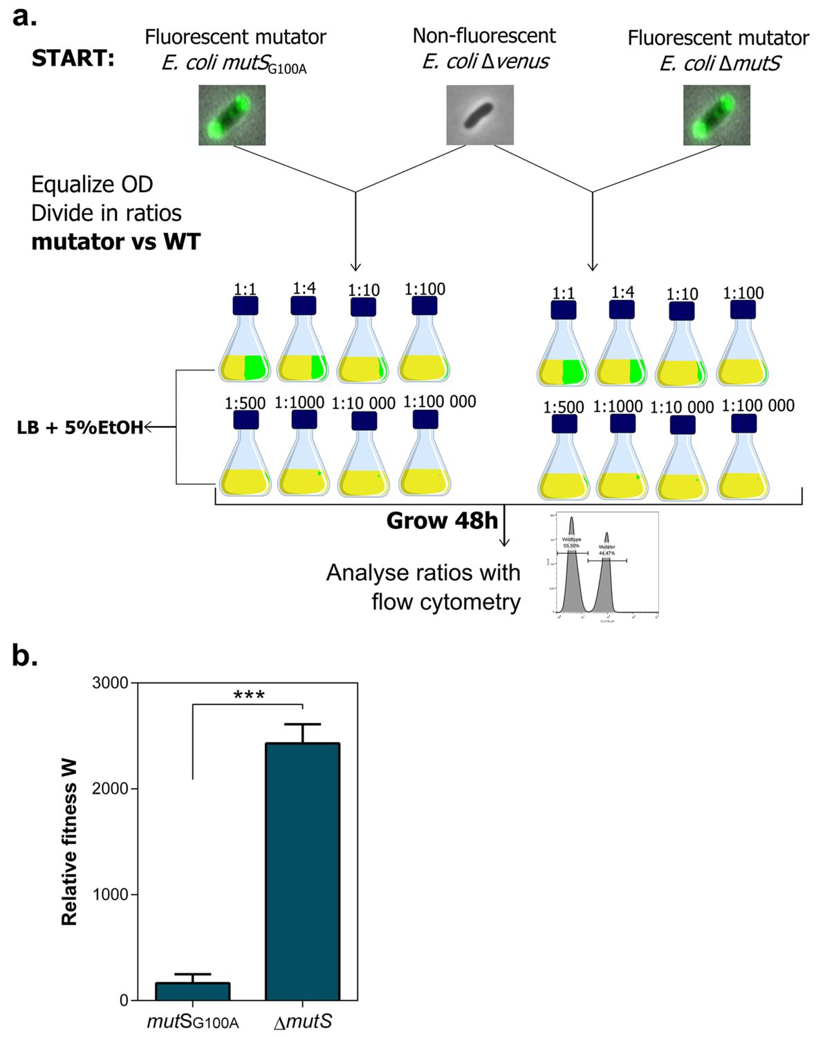 Figures and data in Adaptive tuning of mutation rates allows fast ...