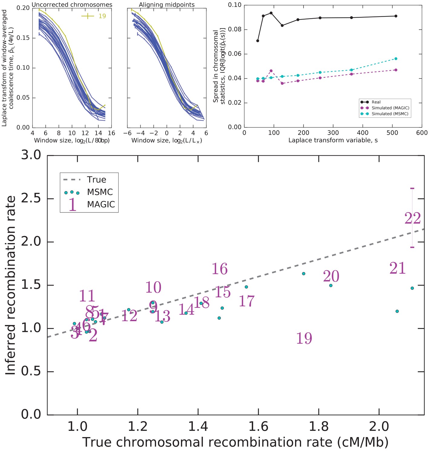 Minimal Assumption Inference From Population Genomic Data Elife