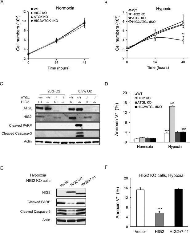 Figures And Data In Inhibition Of Intracellular Lipolysis Promotes