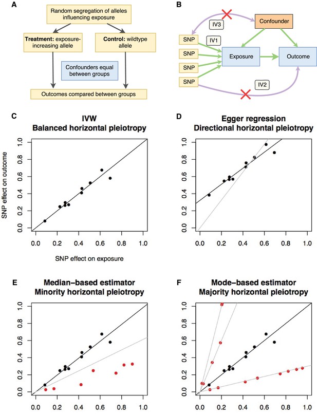 The Mr Base Platform Supports Systematic Causal Inference Across The