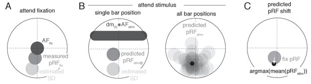 Spatial Sampling In Human Visual Cortex Is Modulated By Both Spatial