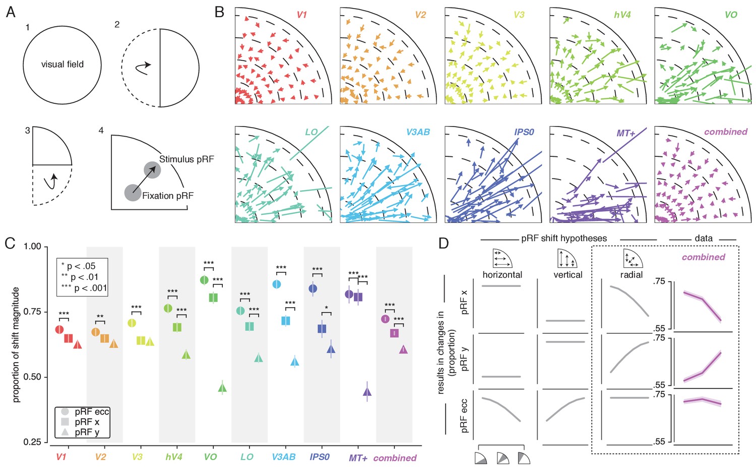 Spatial Sampling In Human Visual Cortex Is Modulated By Both Spatial