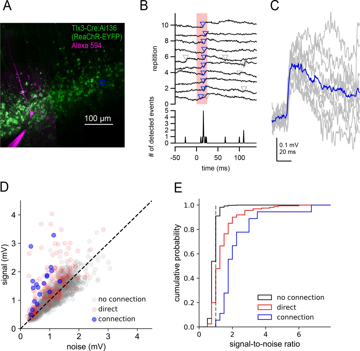 Figures And Data In Sparse Recurrent Excitatory Connectivity In The