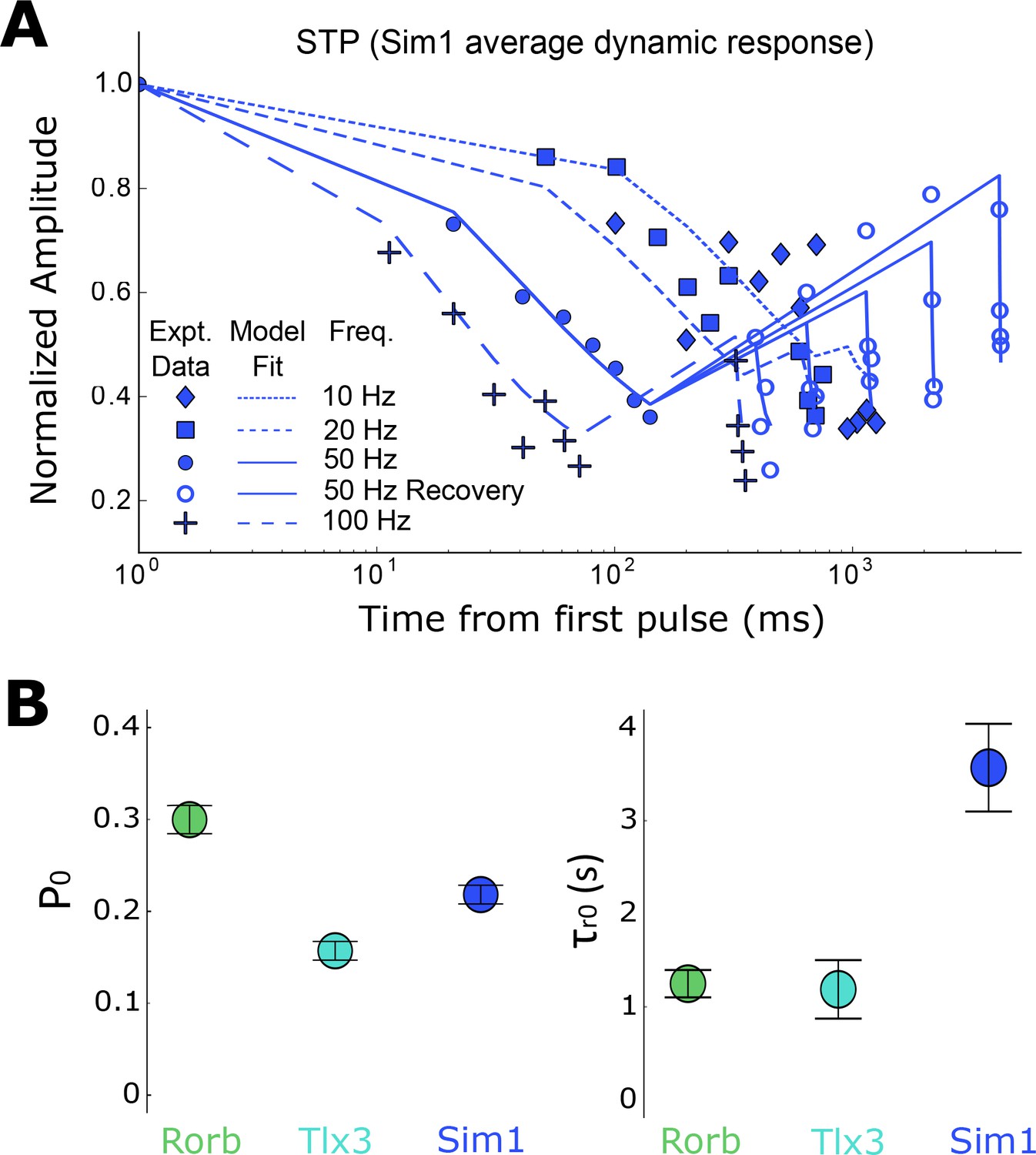Sparse Recurrent Excitatory Connectivity In The Microcircuit Of The