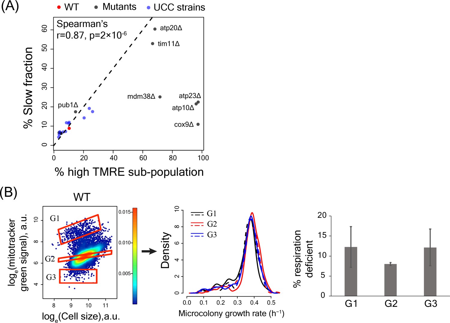 Figures And Data In Single Cell Functional Genomics Reveals The