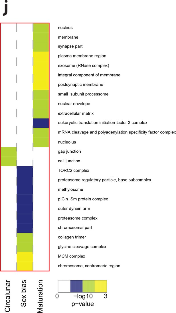 Figures And Data In Combined Transcriptome And Proteome Profiling
