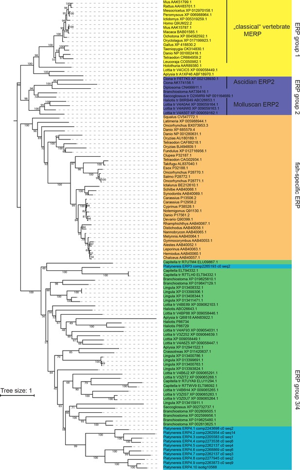 Figures And Data In Combined Transcriptome And Proteome Profiling