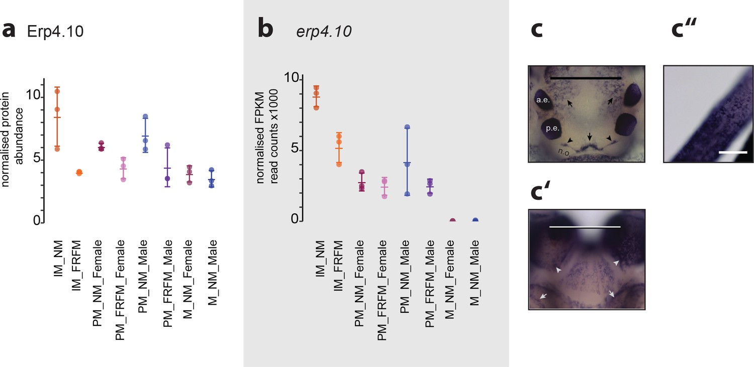 Figures And Data In Combined Transcriptome And Proteome Profiling