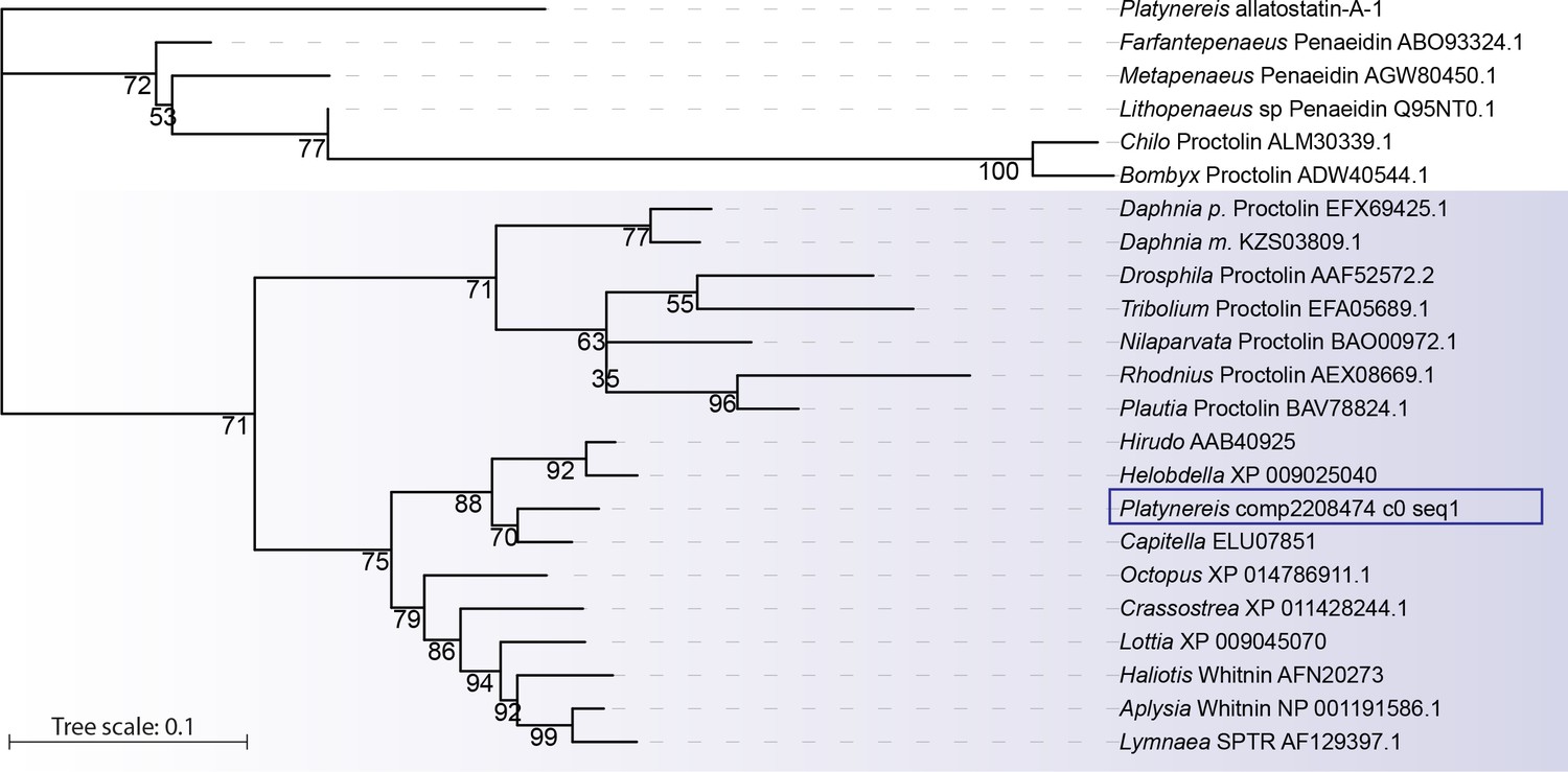 Figures And Data In Combined Transcriptome And Proteome Profiling