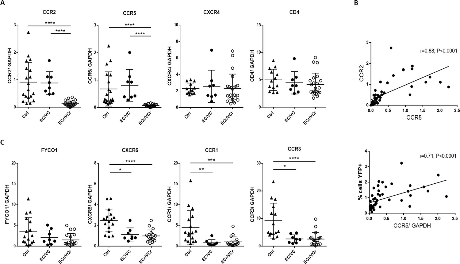 Transcriptional Down Regulation Of Ccr5 In A Subset Of Hiv Controllers