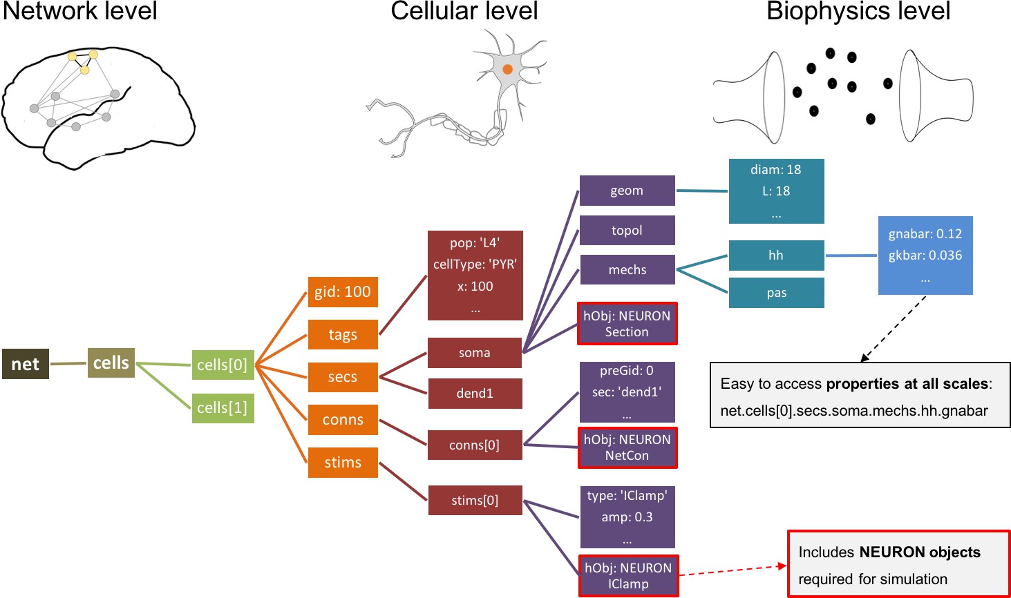 Netpyne A Tool For Data Driven Multiscale Modeling Of Brain Circuits