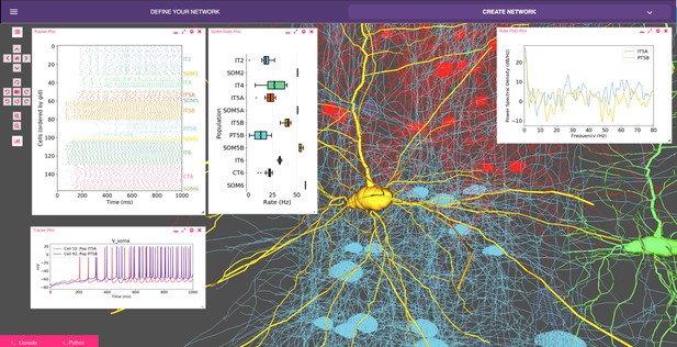 Figures And Data In Netpyne A Tool For Data Driven Multiscale Modeling Of Brain Circuits Elife