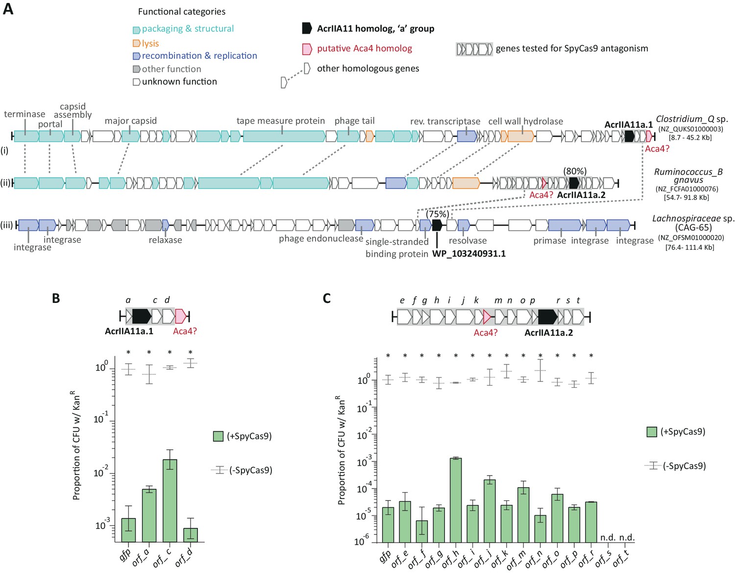 Figures And Data In Functional Metagenomics Guided Discovery Of Potent