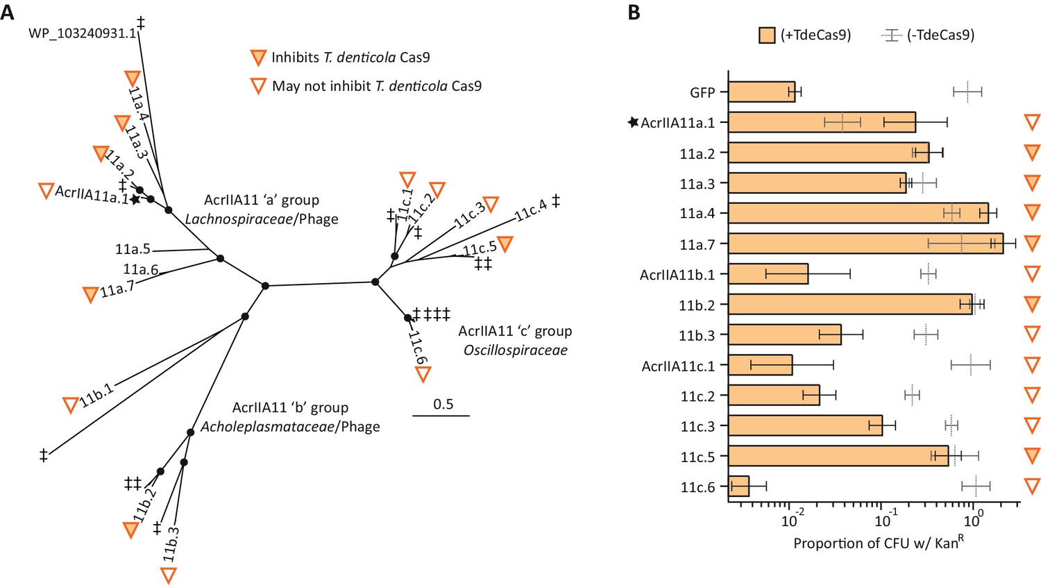 Figures And Data In Functional Metagenomics Guided Discovery Of Potent
