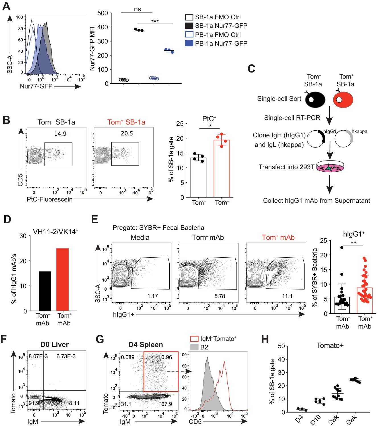 Figures And Data In B Cell Receptor And Toll Like Receptor Signaling