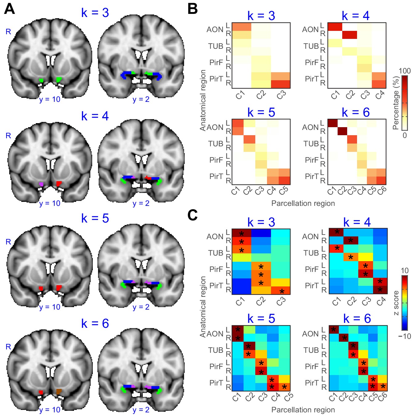Olfactory Cortex