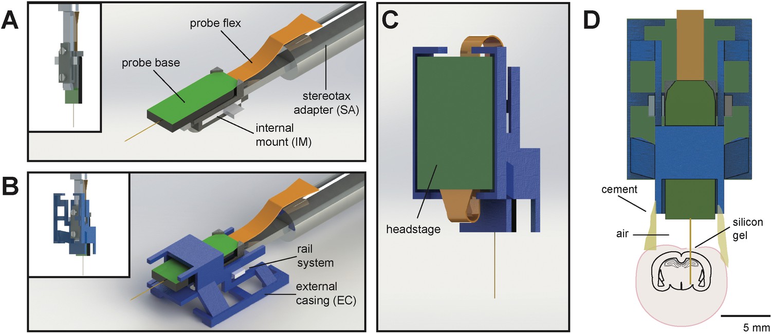 Figures And Data In Chronically Implanted Neuropixels Probes Enable