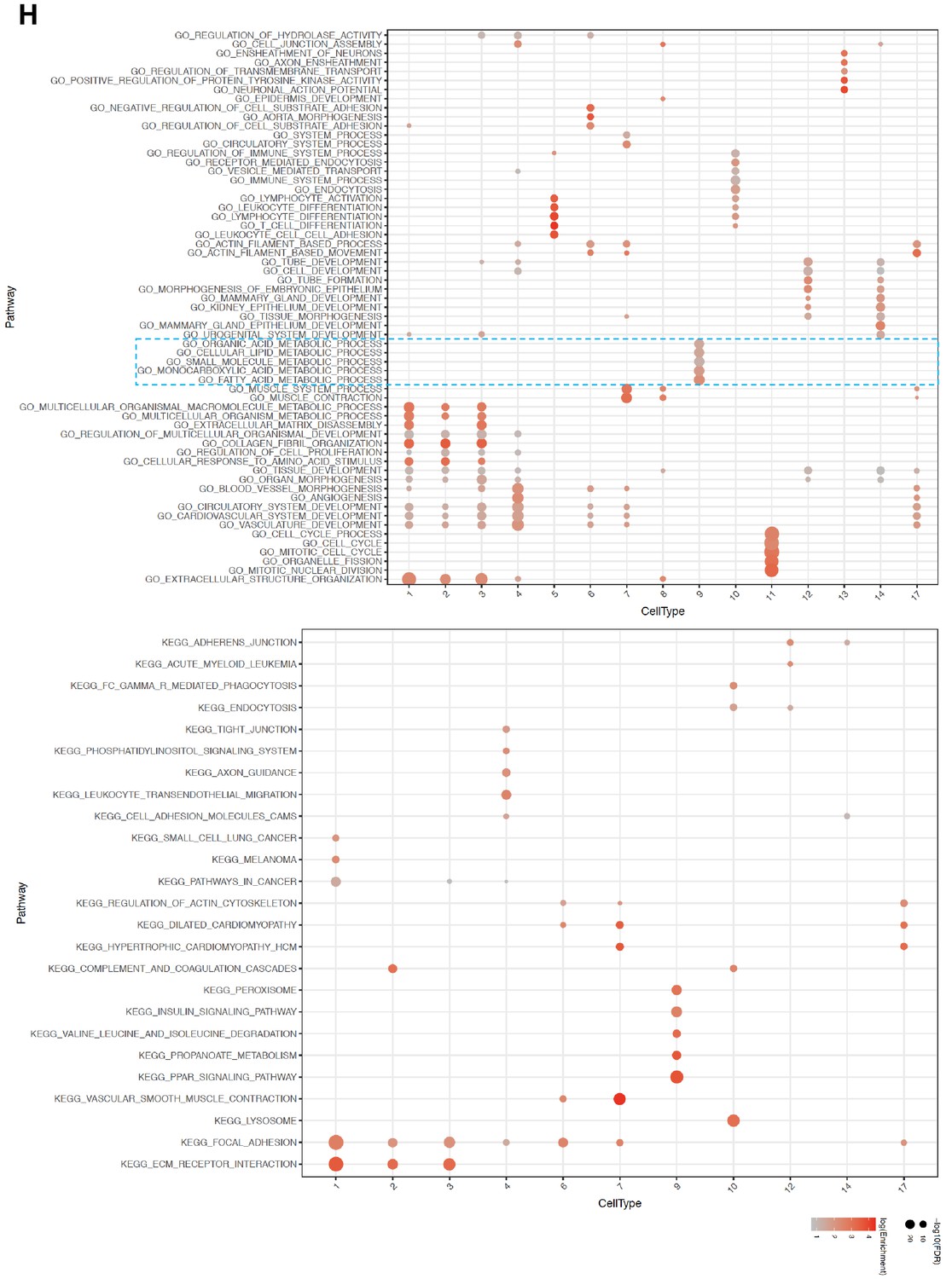 Figures And Data In Single Cell Analysis Reveals Immune Cell Adipocyte