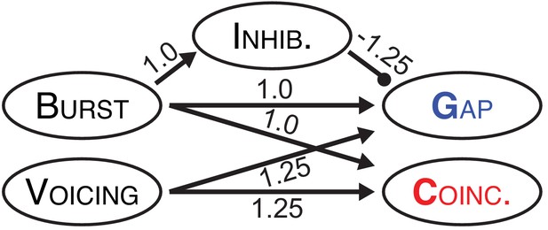 Figures And Data In Transformation Of A Temporal Speech Cue To A Spatial Neural Code In Human