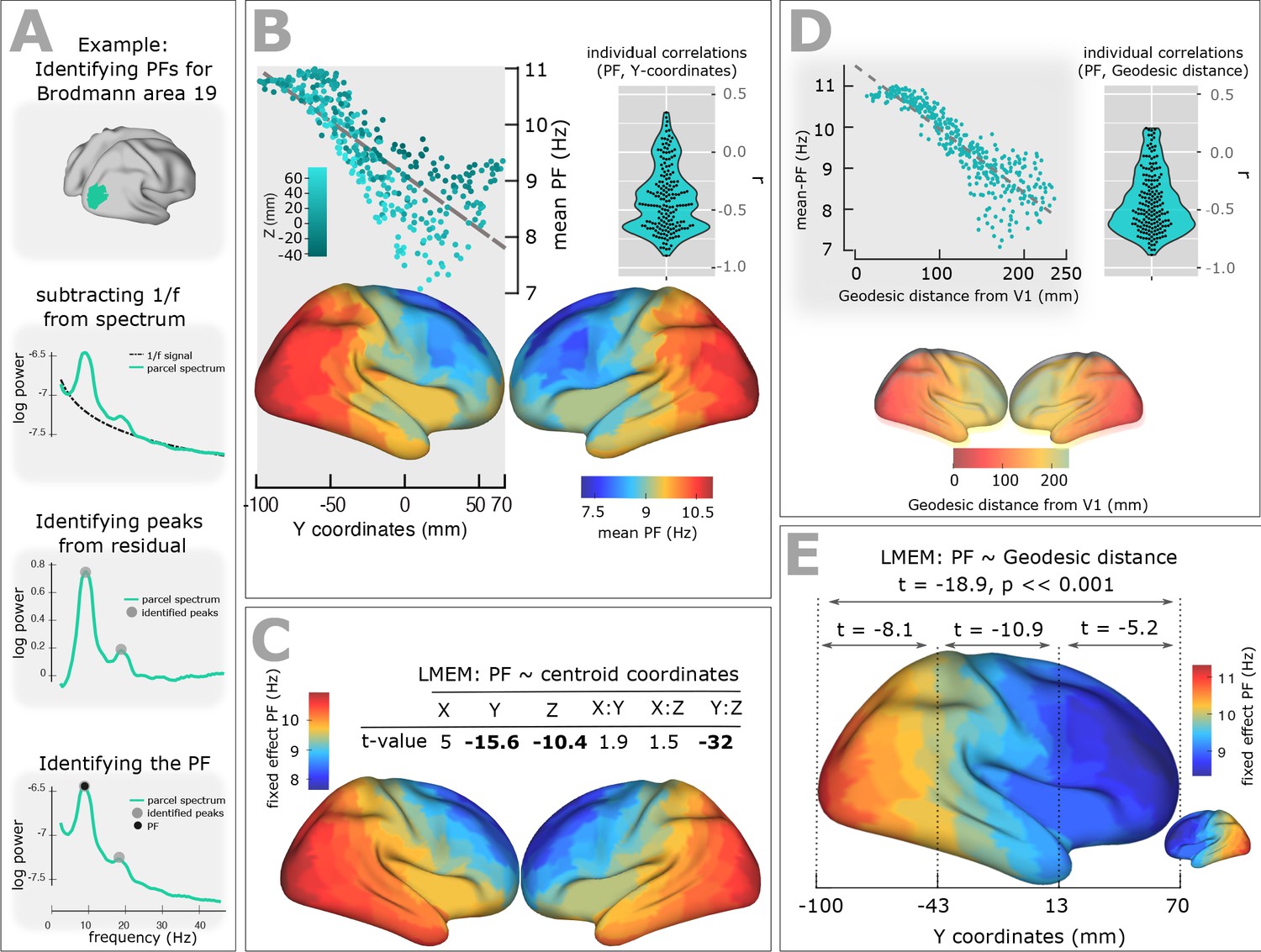 Multimodal Analysis Demonstrating The Shaping Of Functional Multimodal Analysis Demonstrating The Shaping Of Functional
