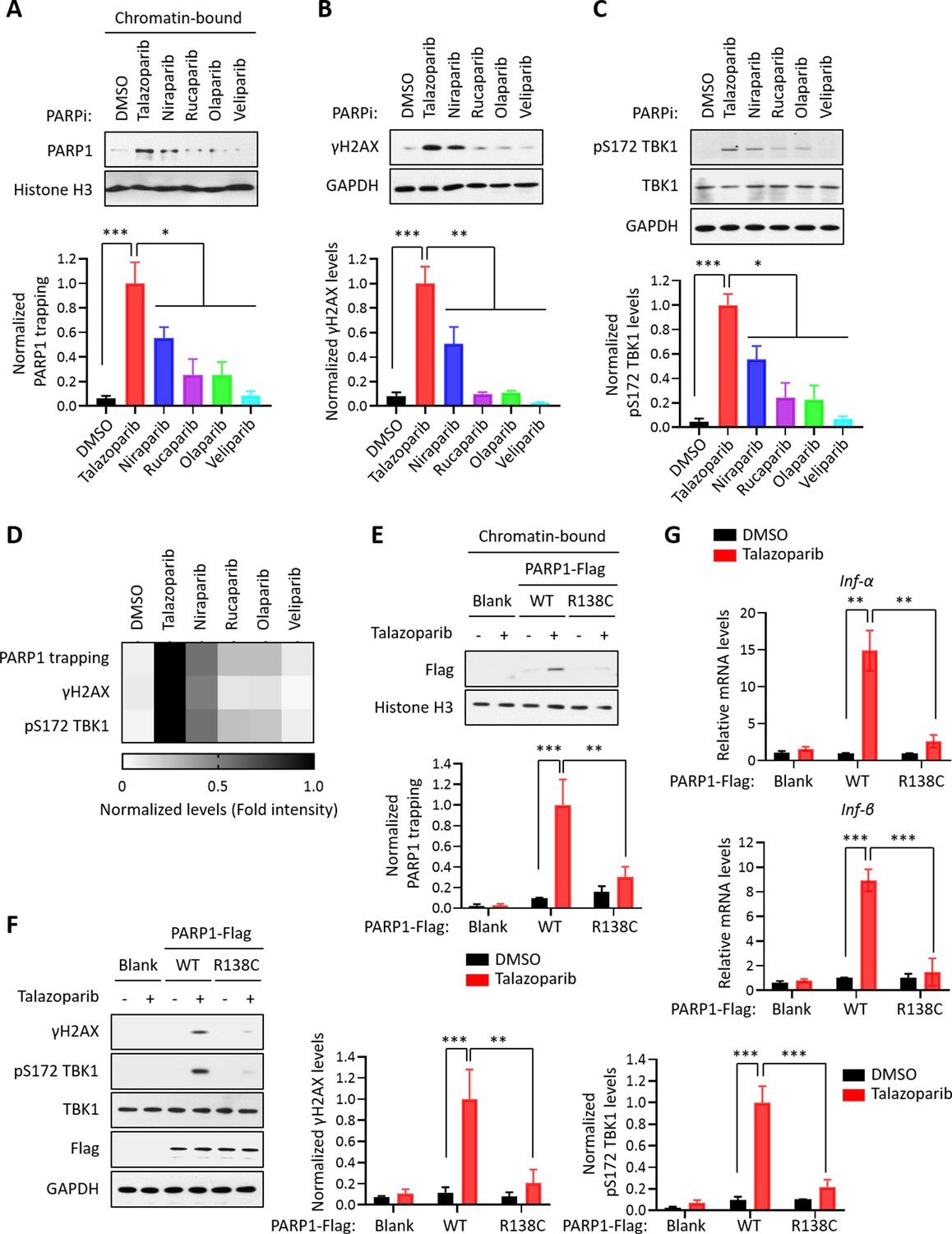 Parp1 Inhibitors Trigger Innate Immunity Via Parp1 Trapping Induced Dna
