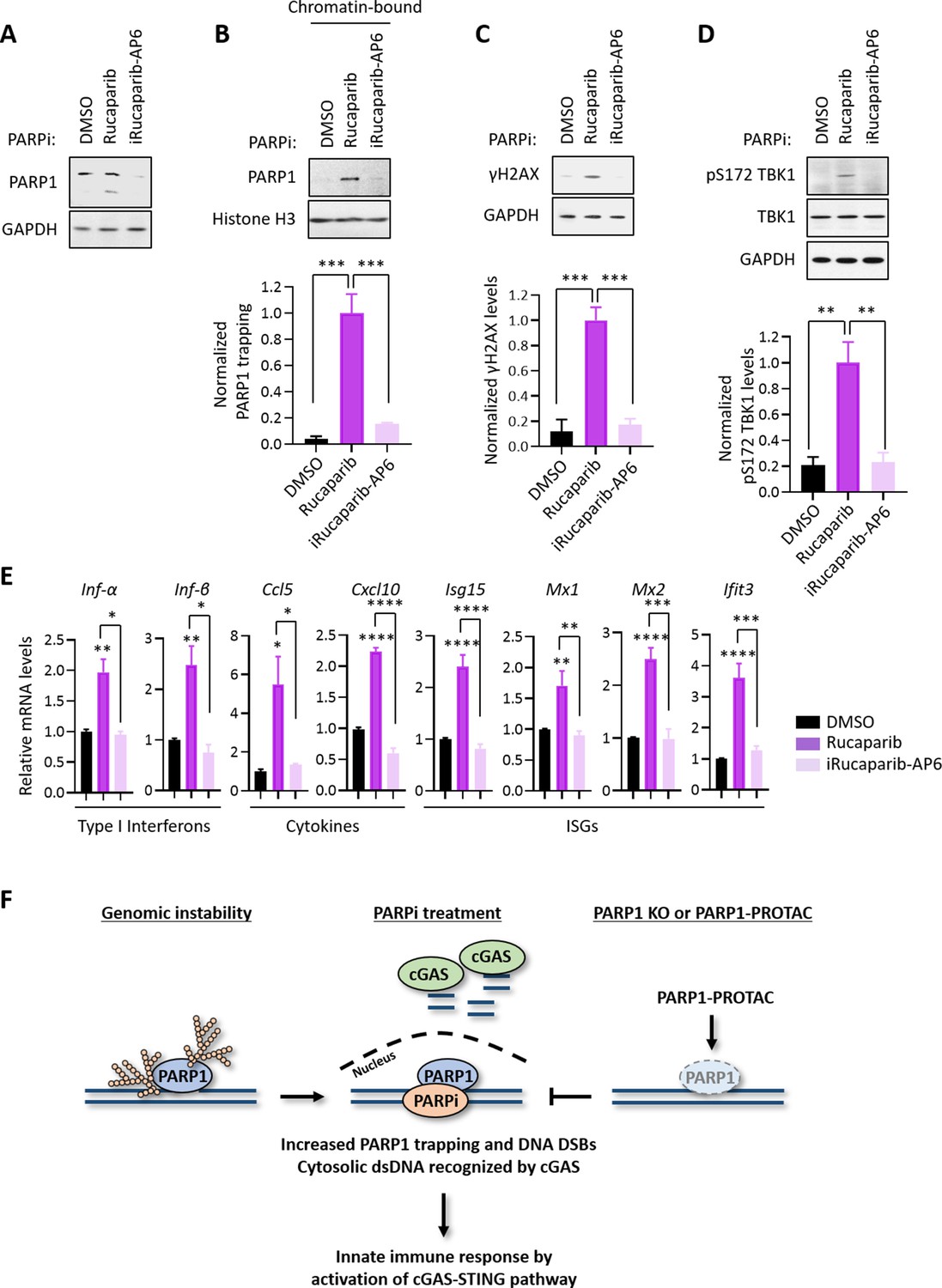 Parp1 Inhibitors Trigger Innate Immunity Via Parp1 Trapping Induced Dna